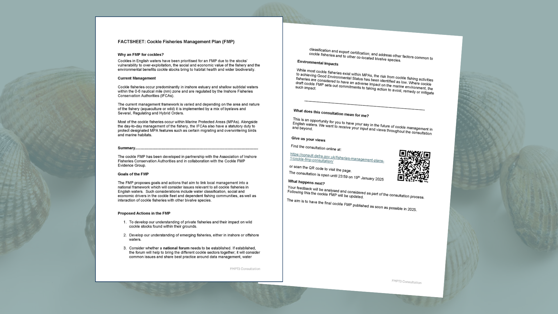 FACTSHEET: Cockle Fisheries Management Plan (FMP) – Fisheries ...