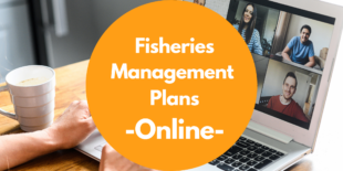 Fisheries Management Plans – News and updates from Defra's FMP programme