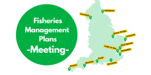 Fisheries Management Plans – News and updates from Defra's FMP programme
