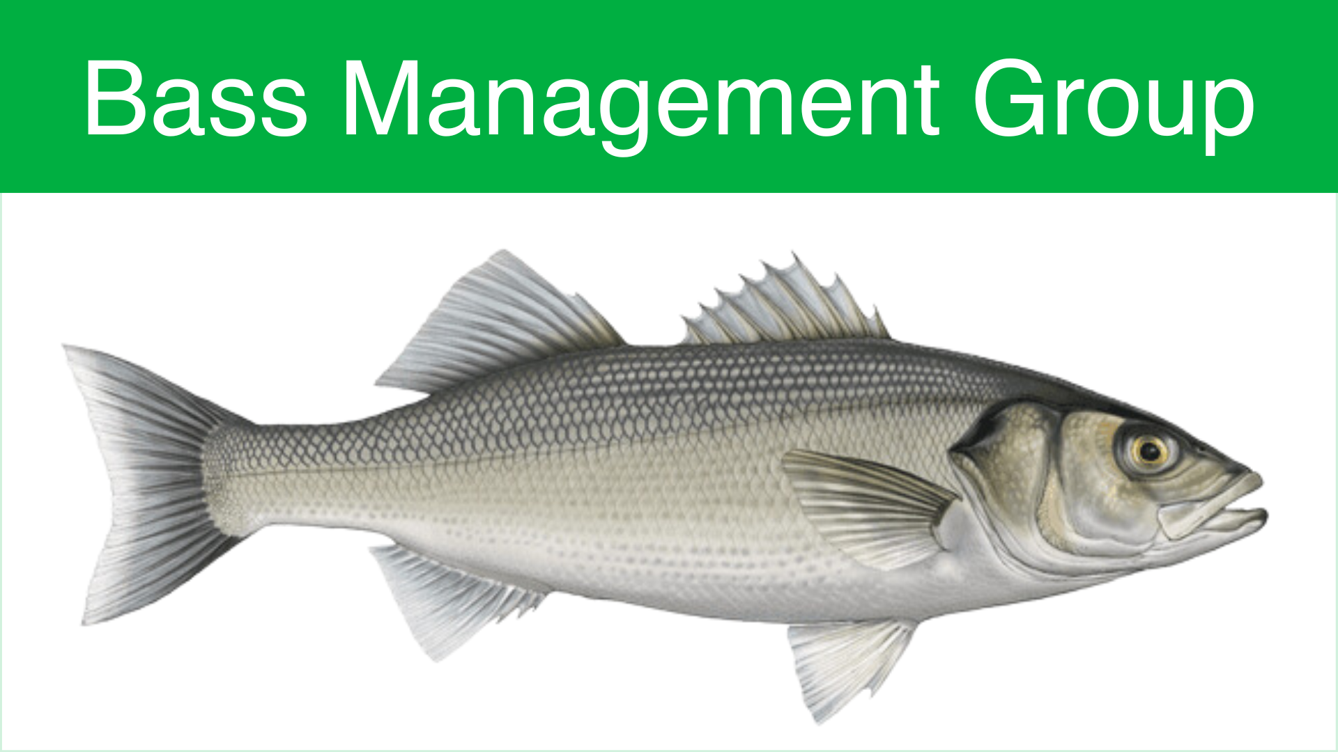 Bass Management Group: progress, priorities and transparency ...
